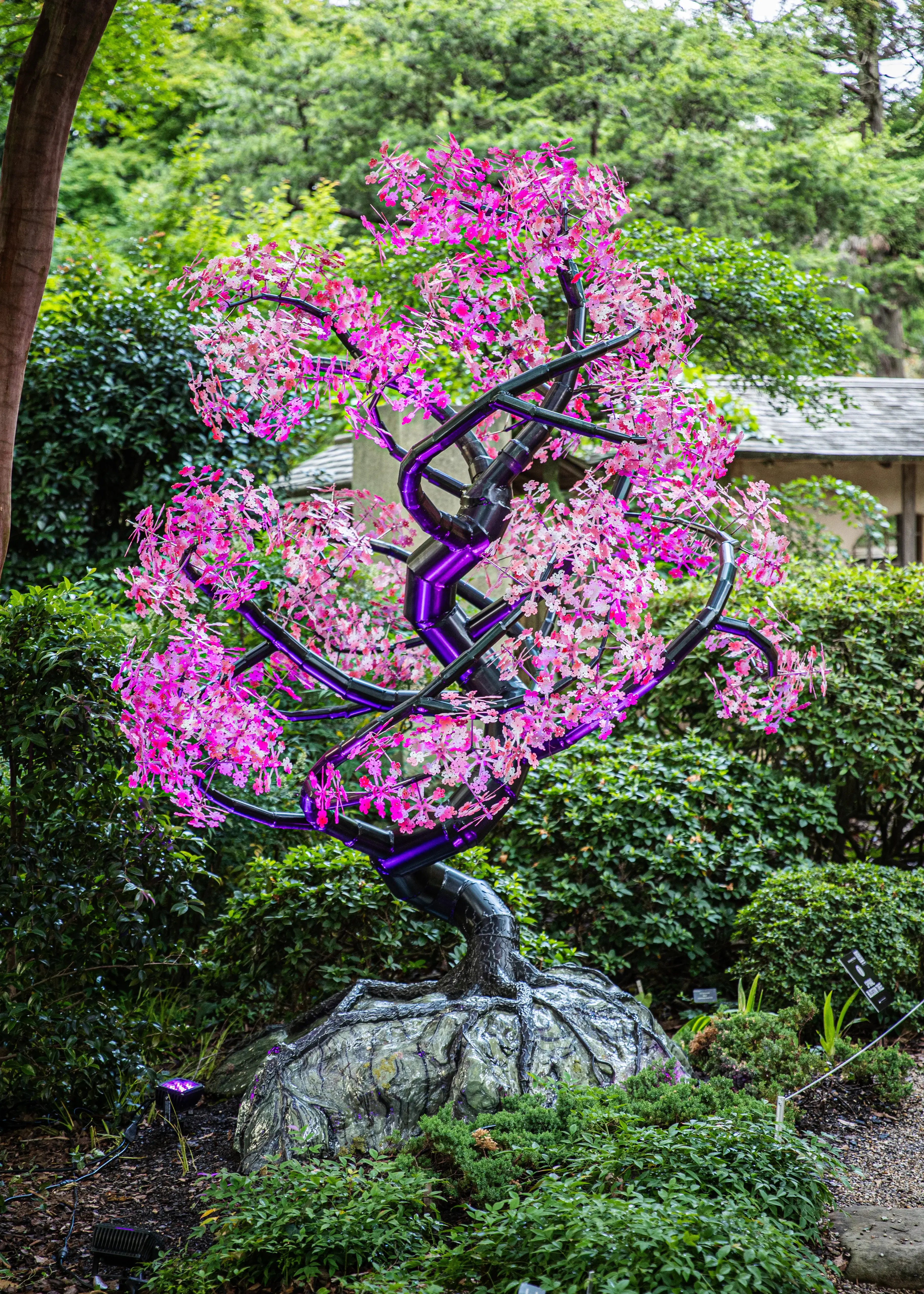 Enchanted Trees Draws More Than 200,000 Visitors to Atlanta Botanical ...