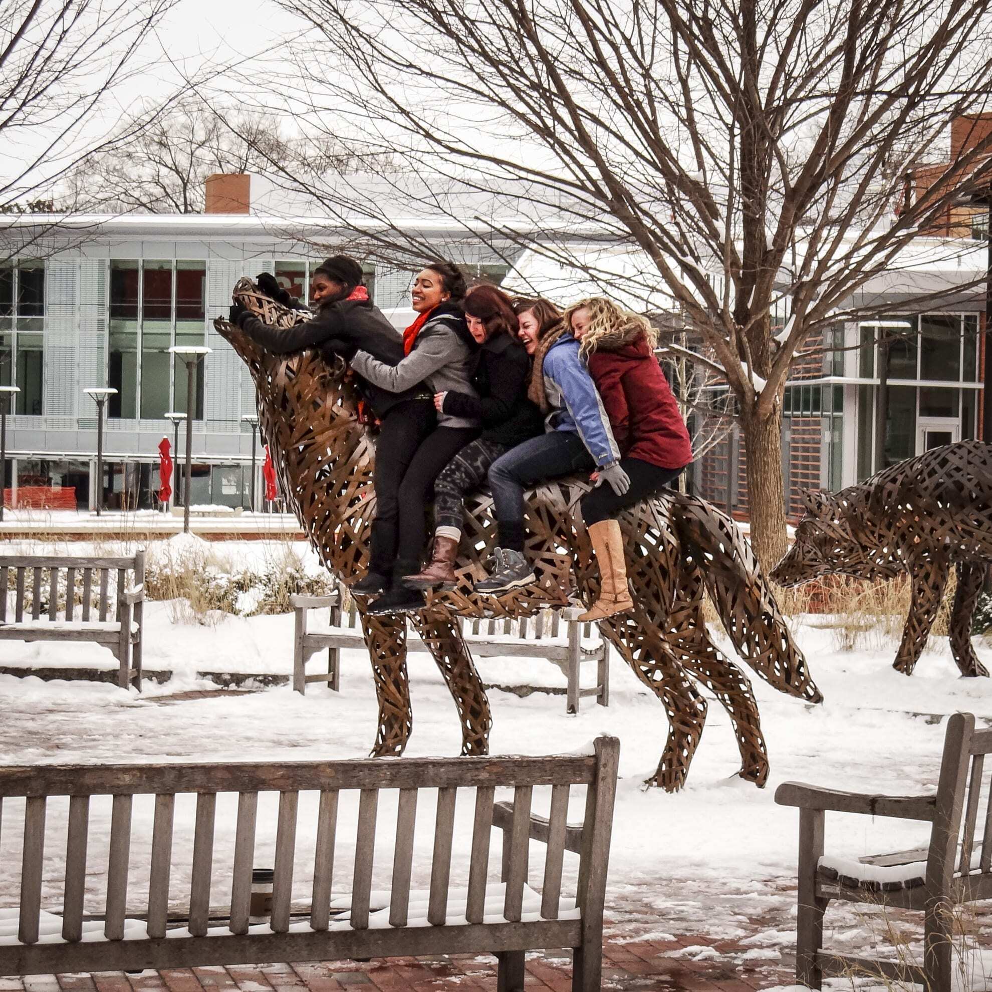 Michael Stutz’s 'Wolves' Become NC State’s Iconic “Instagrammable Spot”